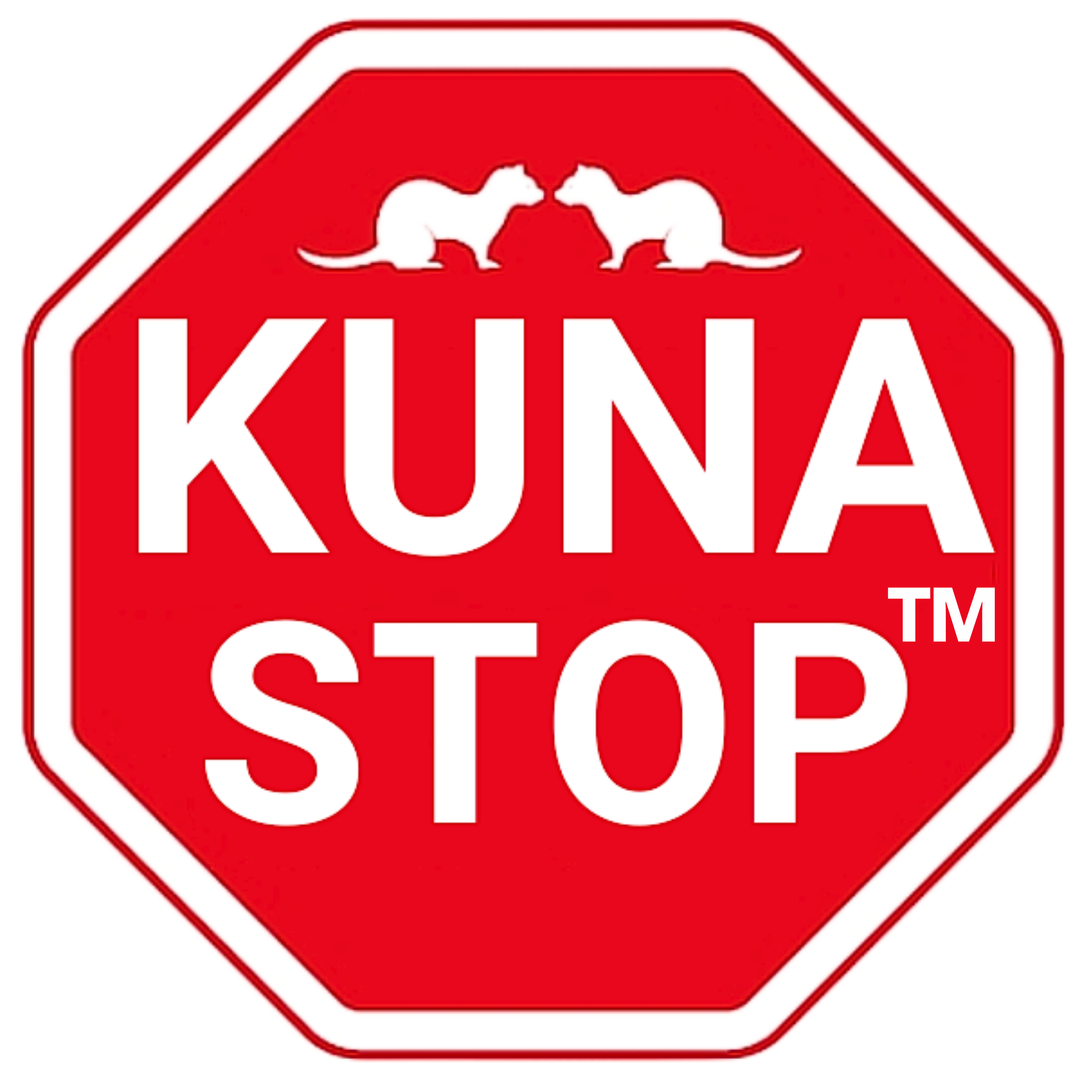 Odstraszacz na kuny do samochodu - Skuteczna ochrona silnika | KunaStop
